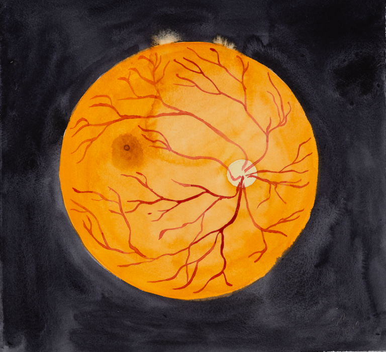 Biolaminin 521 LN (LN521) - BioLamina